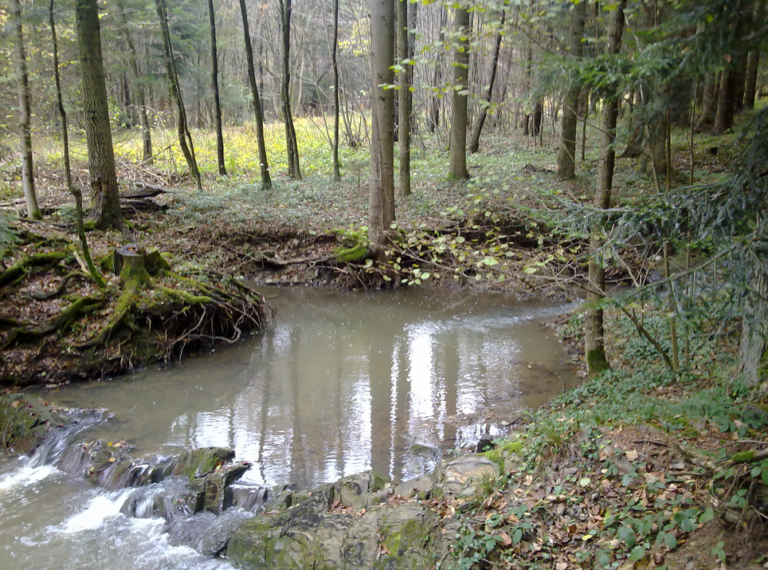 Flussverlauf der Schwechat und der Donau bis zur Fischaeinmündung – Die ...